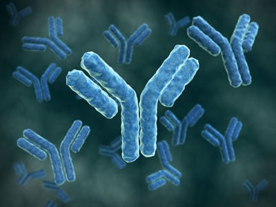 The ABclonal Advantage: Working With an Original Manufacturer