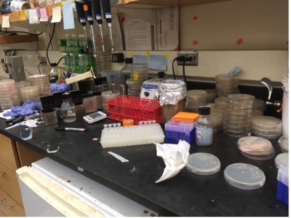 Lab Organization: Why You Should 5S Your Laboratory