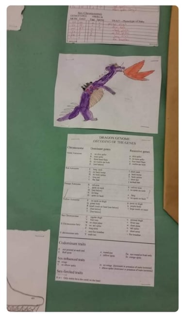 The Myriad Patterns of Inheritance