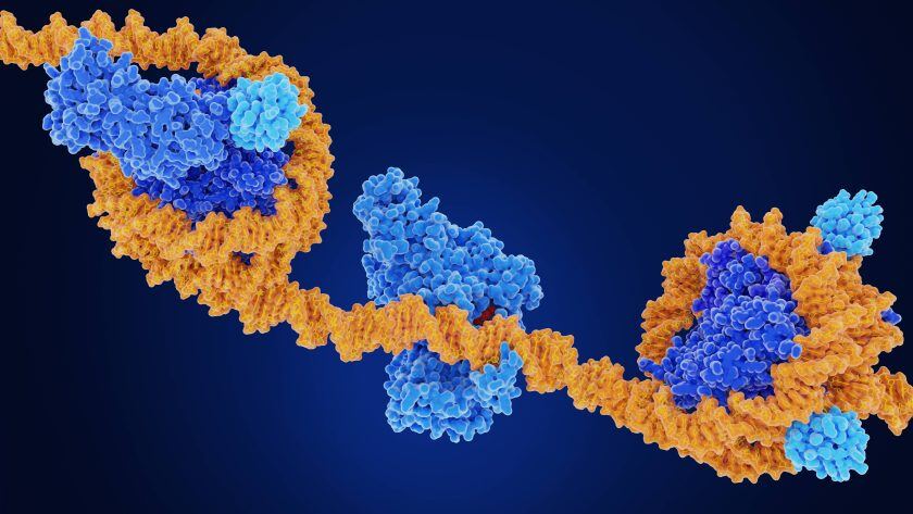 Targeting Epigenetic Marks: How Antibodies Empower Cancer Research Targeting Epigenetic Marks: How Antibodies Empower Cancer Research