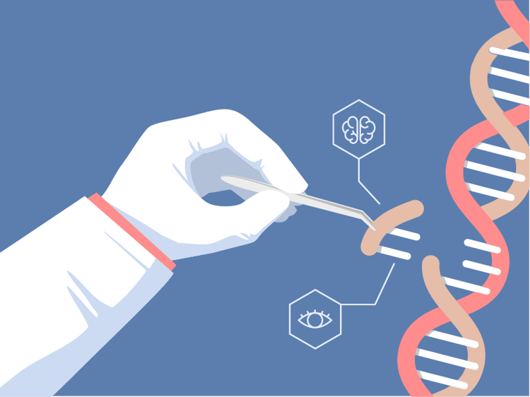 Fanzor: The Next Step in Gene Editing?