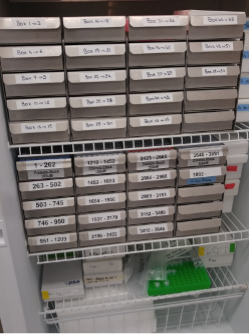 Lab Organization: Why You Should 5S Your Laboratory