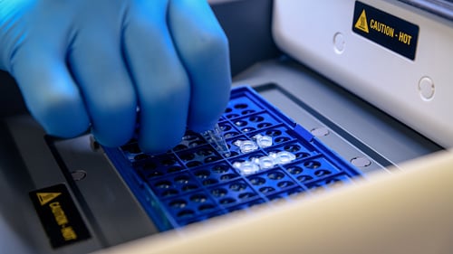 5 Steps to a Better PCR: A Troubleshooting and Optimization Guide