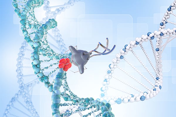 DNA Damage & Repair and its Therapeutic Potential